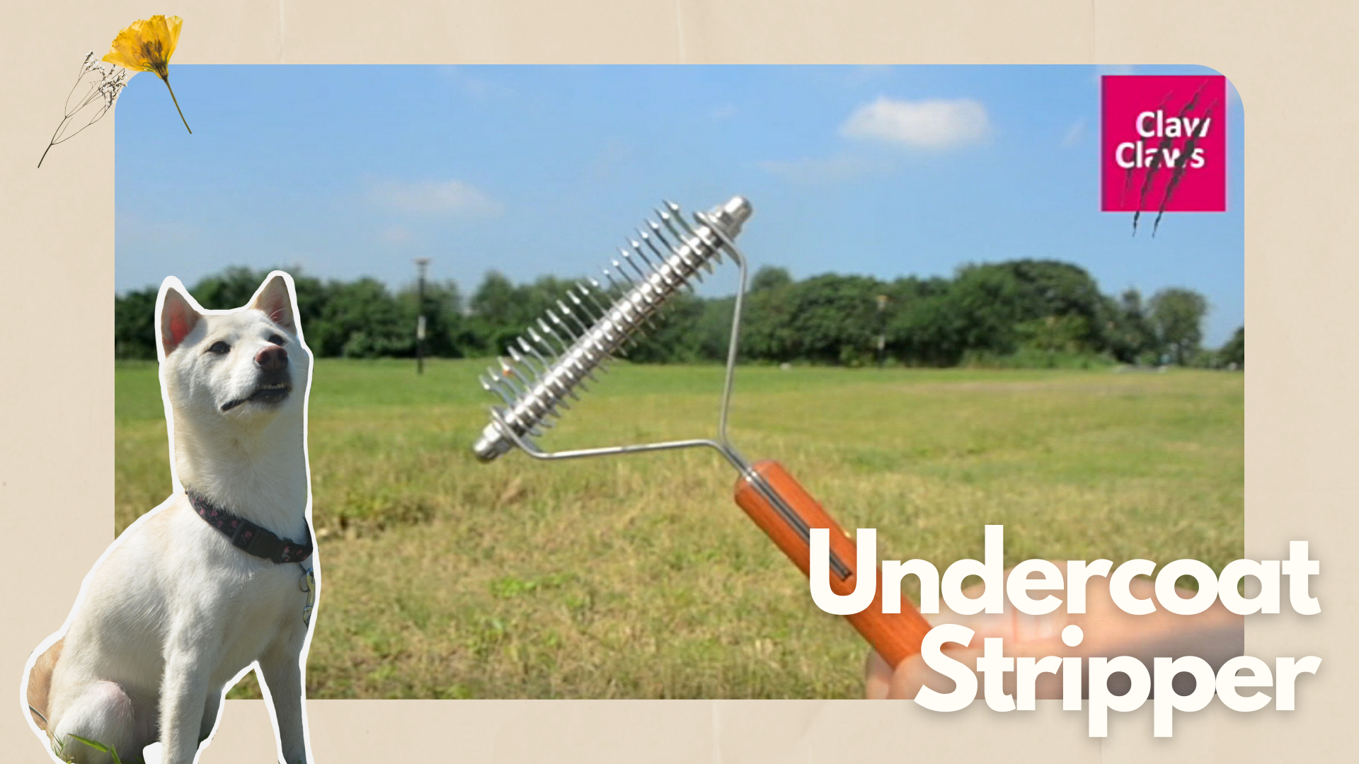 Claw Claws Dematting Tool For Dogs Cats Rounded Edge Blades Claw Claws ...