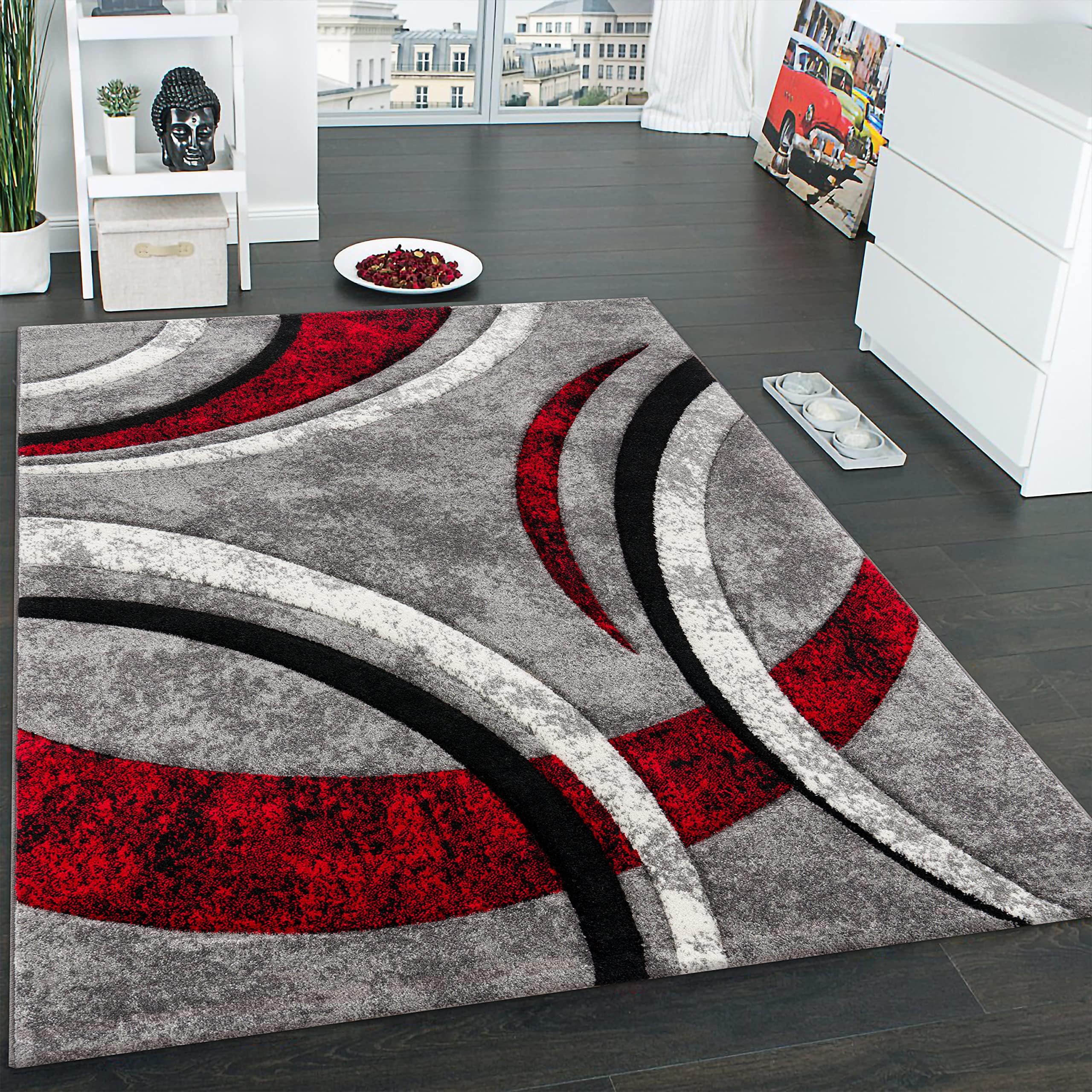 Amazon.com: Paco Home Designer Rug Modern with Contour Cut Chequered in ...