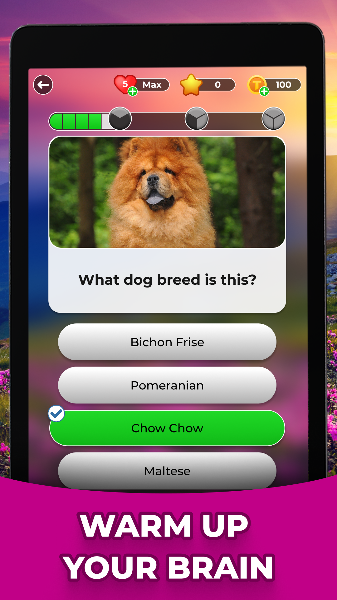 Triviascapes: relaxing trivia & IQ quiz - App on Amazon Appstore