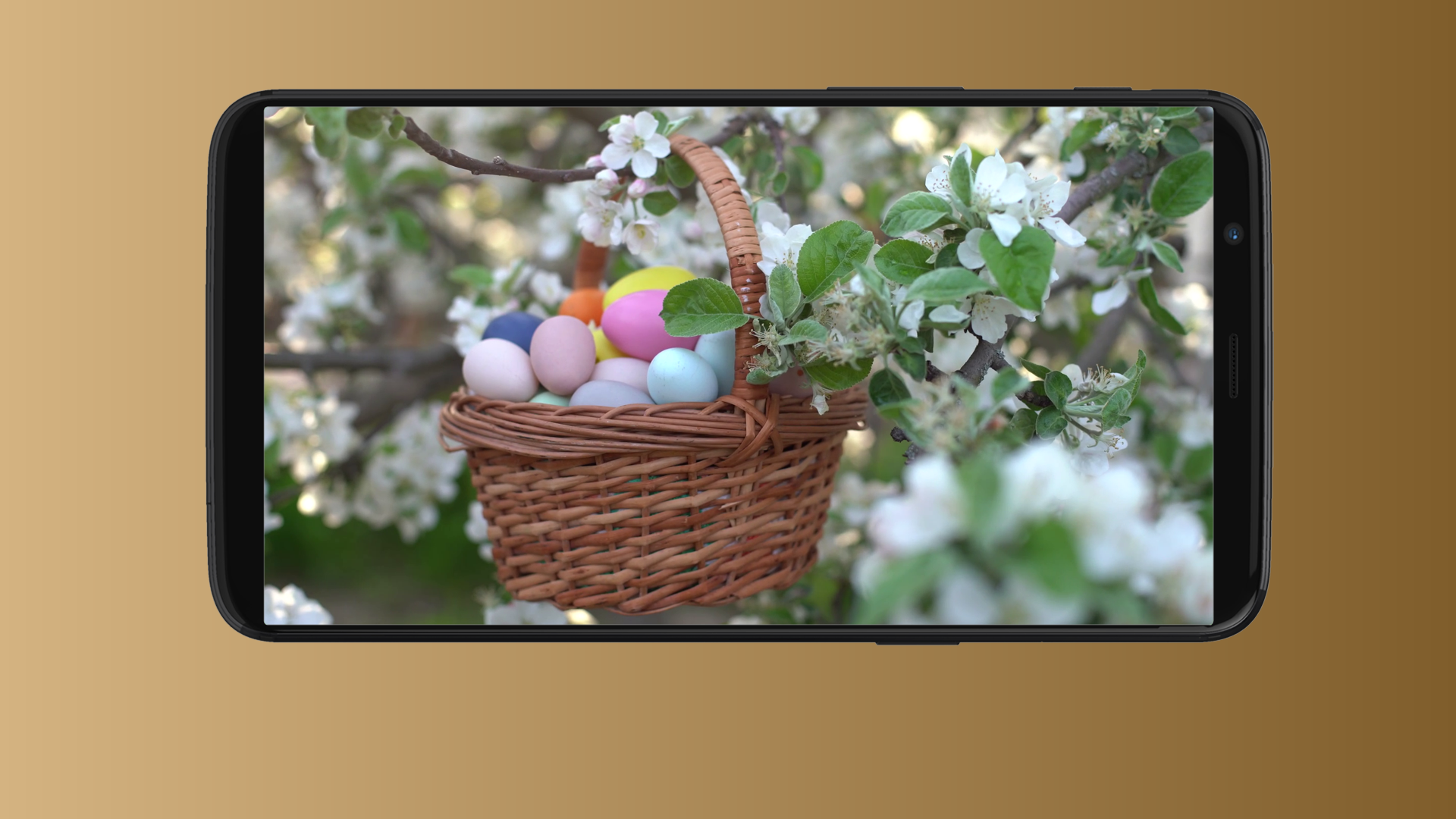 Easter Eggs for Fire TV - App on Amazon Appstore