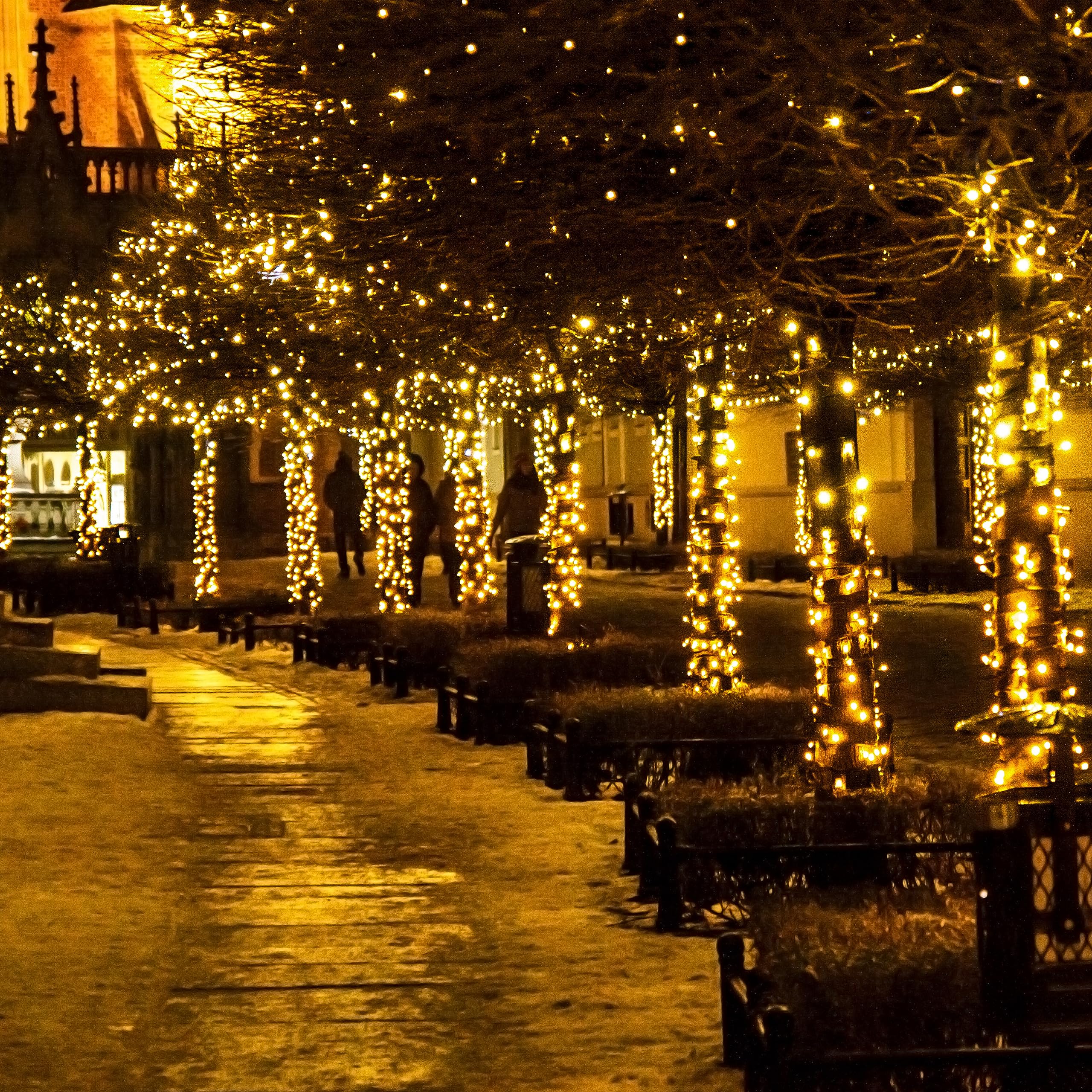 Extra Long Christmas Lights The 8 Best Christmas Lights Of 2025