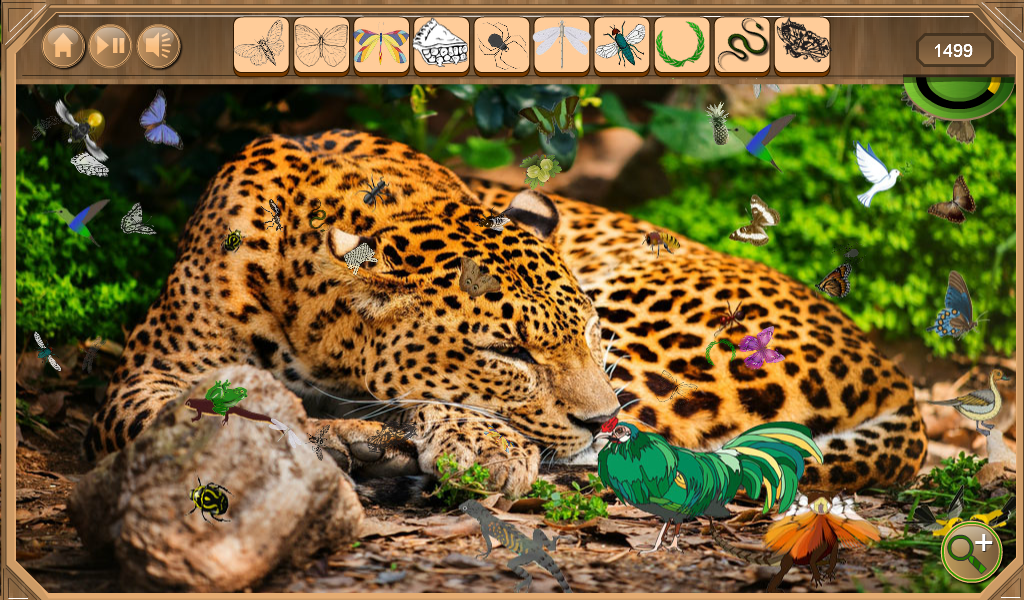 Safari Hidden Object - App on Amazon Appstore