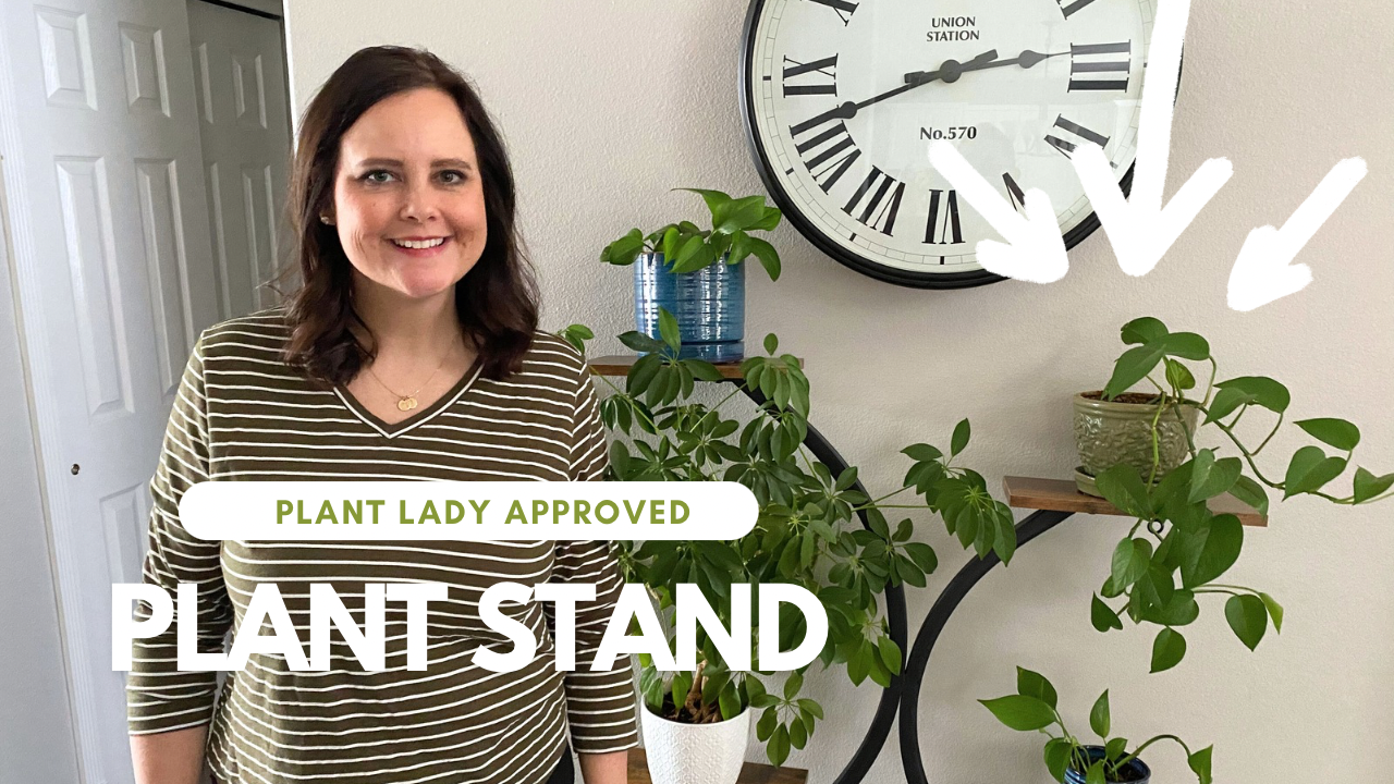 Watch Plant Lady Approved Indoor 52" Plant Stand on Amazon Live