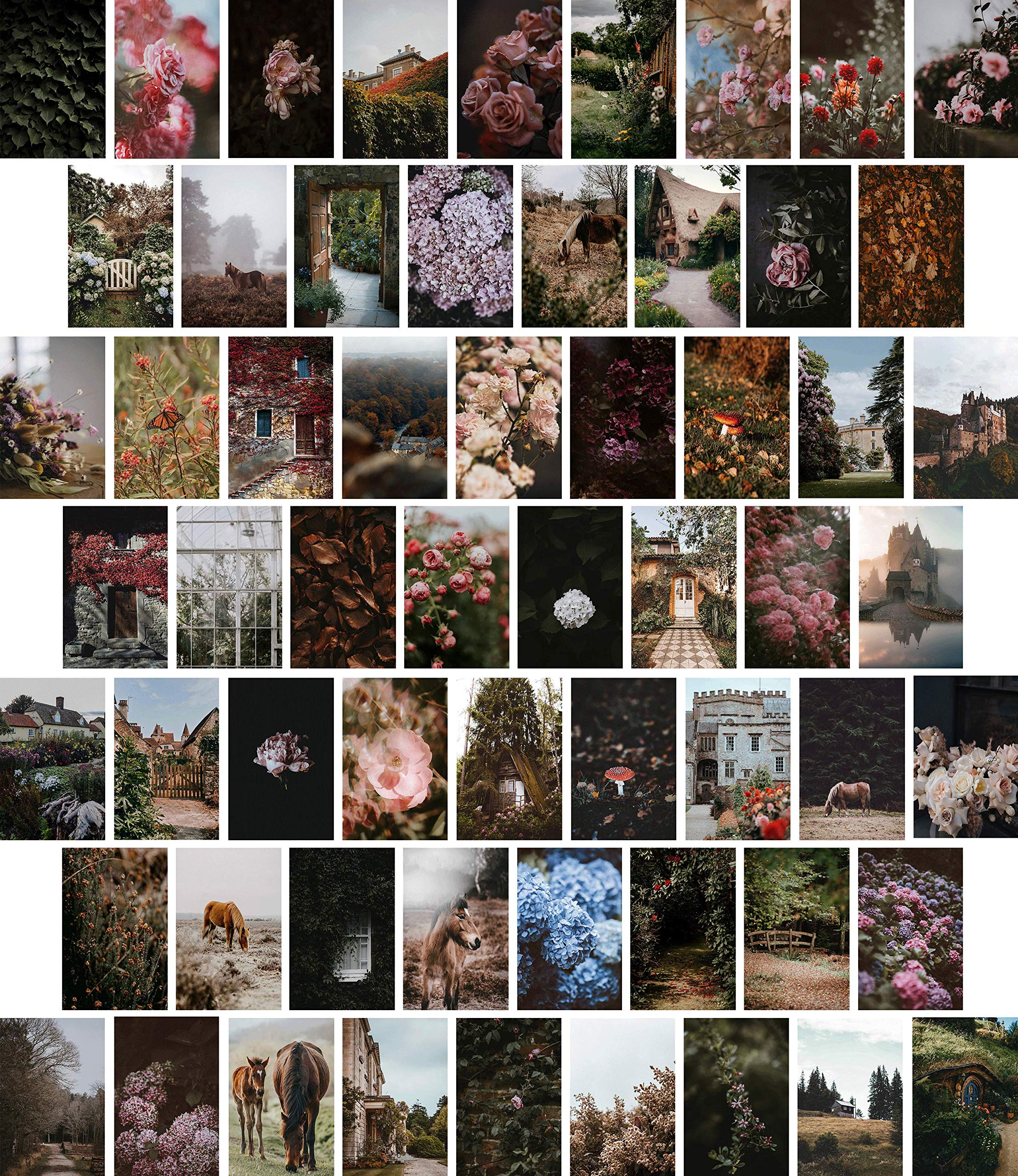 Cottage Core Aesthetic Wall Collage Kit By Boho Cove 60 | Desertcart GB