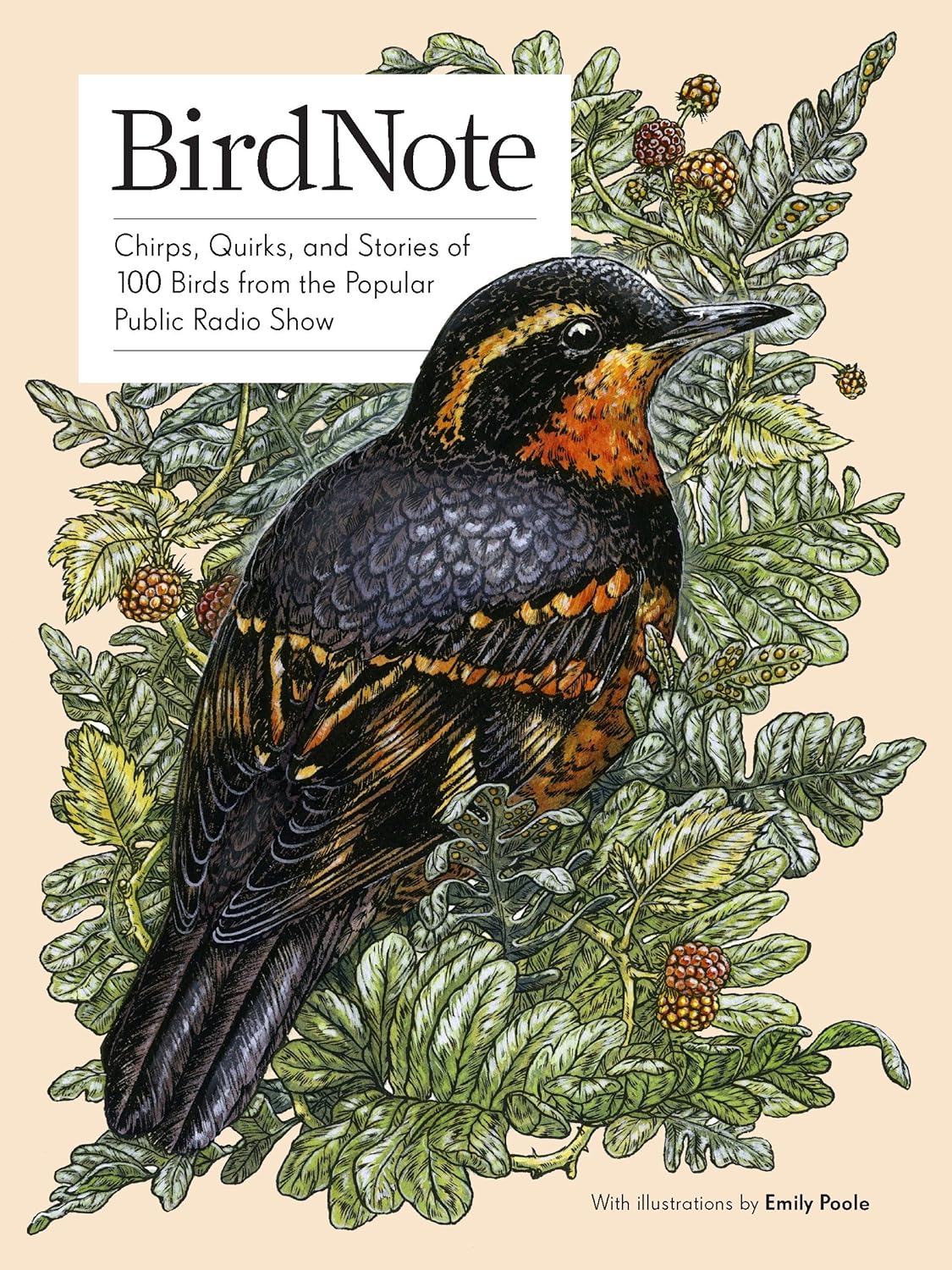 BirdNote: 100 Illustrated Bird Stories to Inspire Your Bird Watching ...