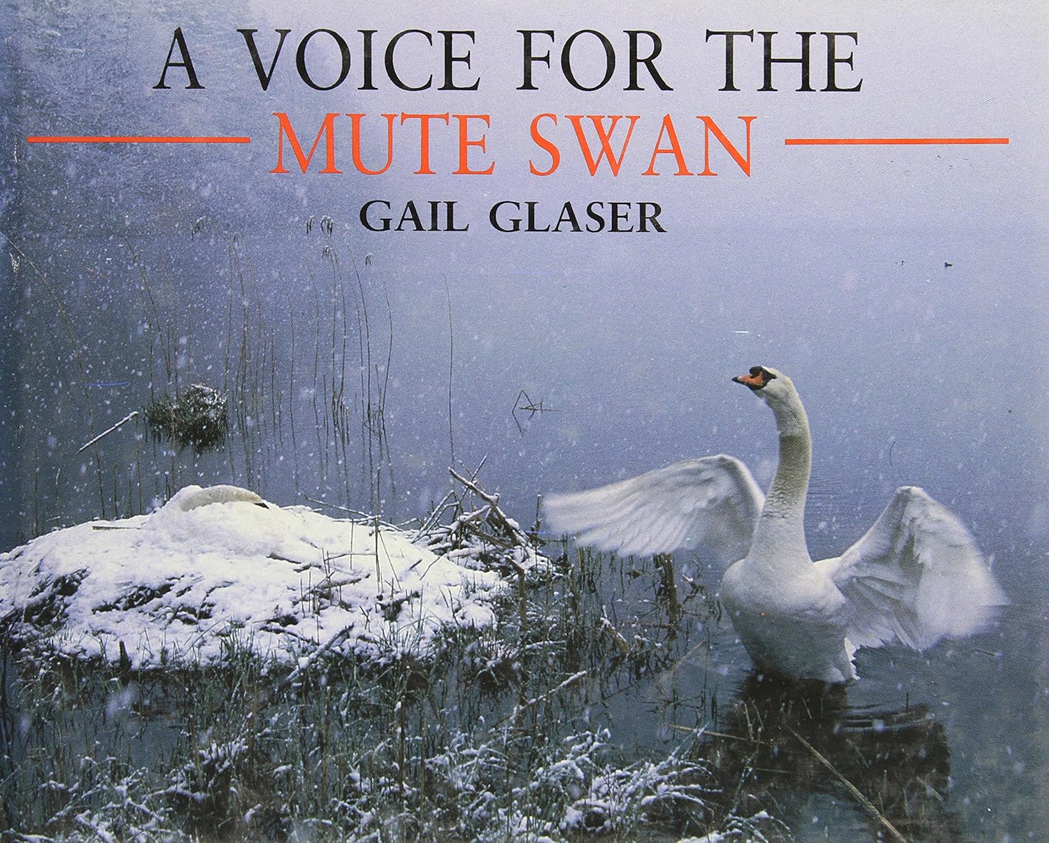 A Voice for the Mute Swan (Animals): Glaser, Gail: 9780905483733 ...