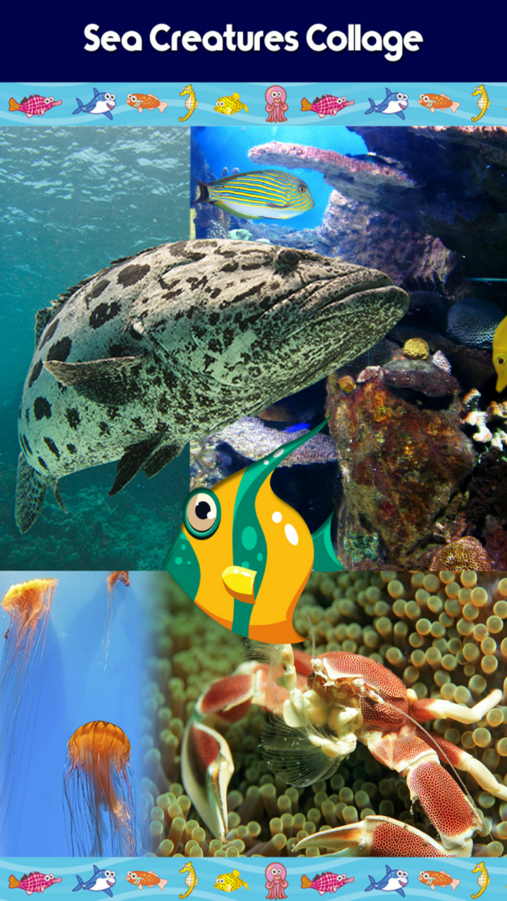 Sea Creatures Collage - App on Amazon Appstore