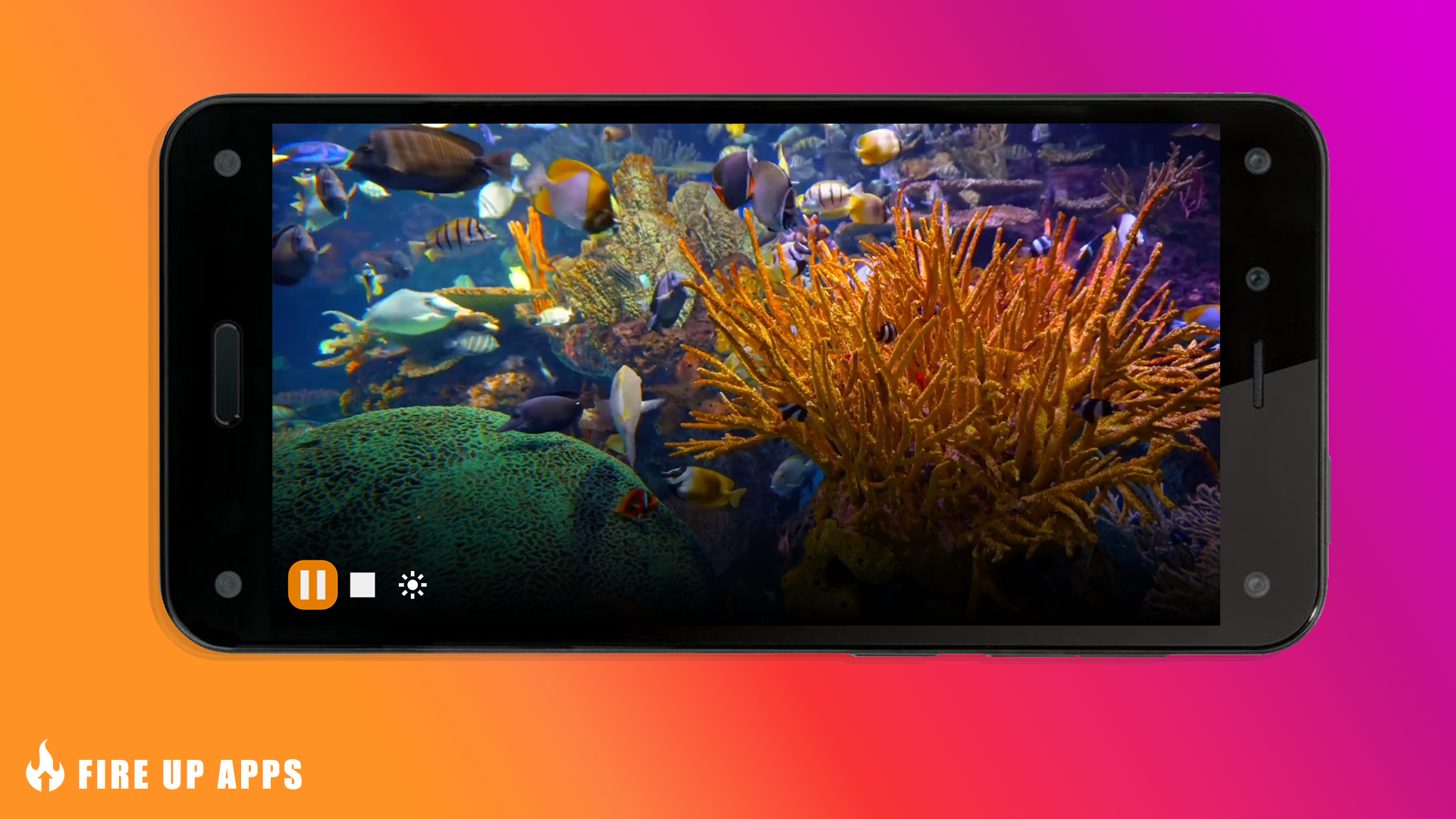 Underwater Wonders : Aquarium ambience & Relaxing Coral Reef Fish | HD 4K Videos Screensaver for ...