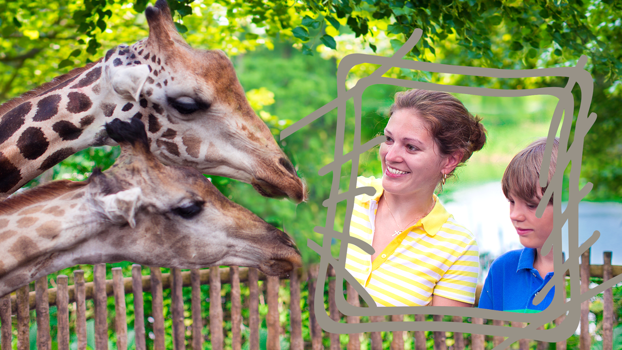 Zoo Animals Photo Frames - App on the Amazon Appstore