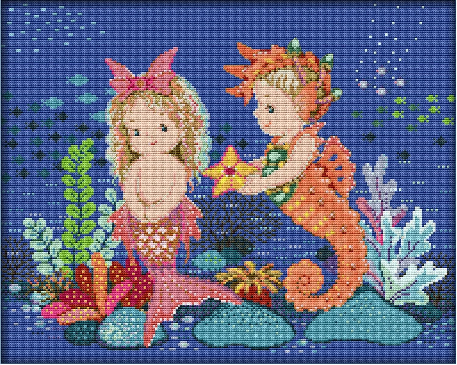 Amazon.com: Howie's Needlepoint Cross Stitch Kits, 14CT Pre-Printed ...