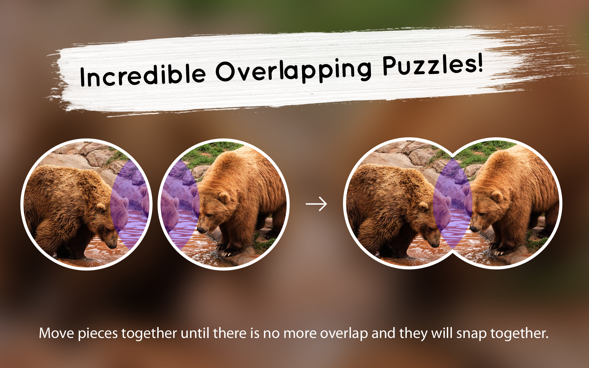 Venn Bears: Overlapping Jigsaw Puzzles - App on the Amazon Appstore