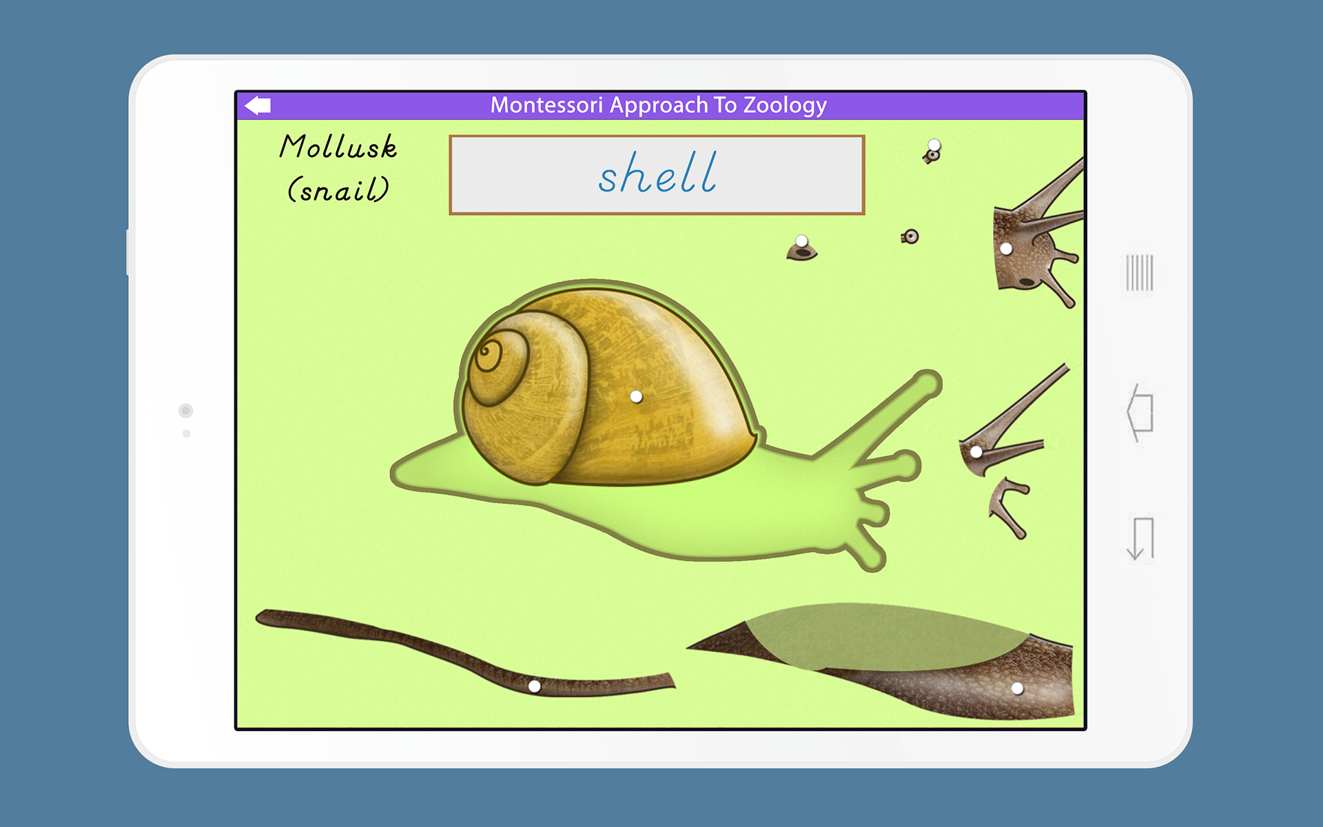 Montessori Zoology - Parts of Animals - Invertebrates - App on Amazon ...