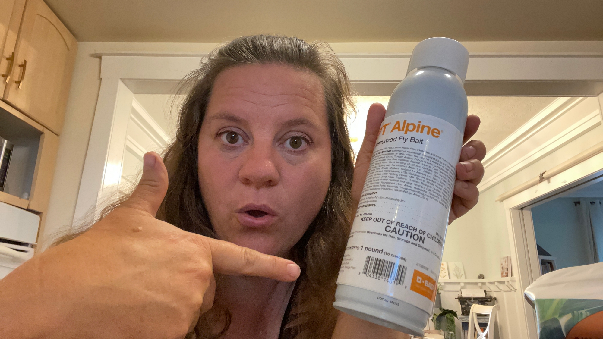 Watch PT Alpine Fly Spray- Does it REALLY work?! on Amazon Live