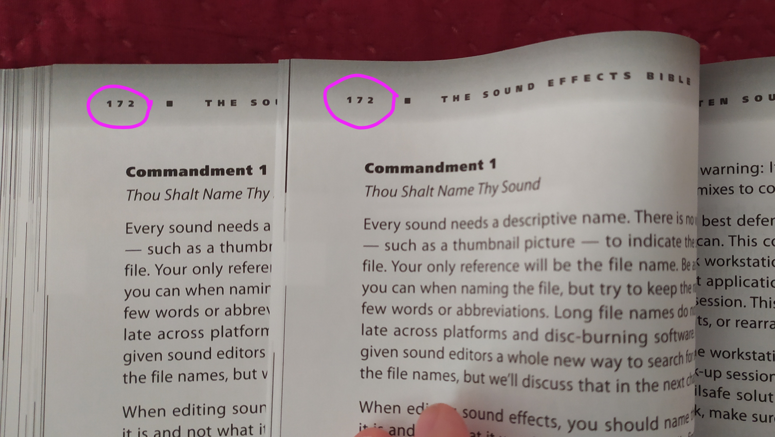 The Sound Effects Bible: How to Create and Record Hollywood Style Sound ...