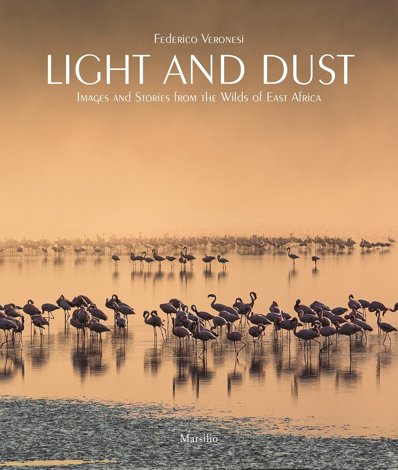Light and Dust: Images and Stories from the Wilds of East Africa ...