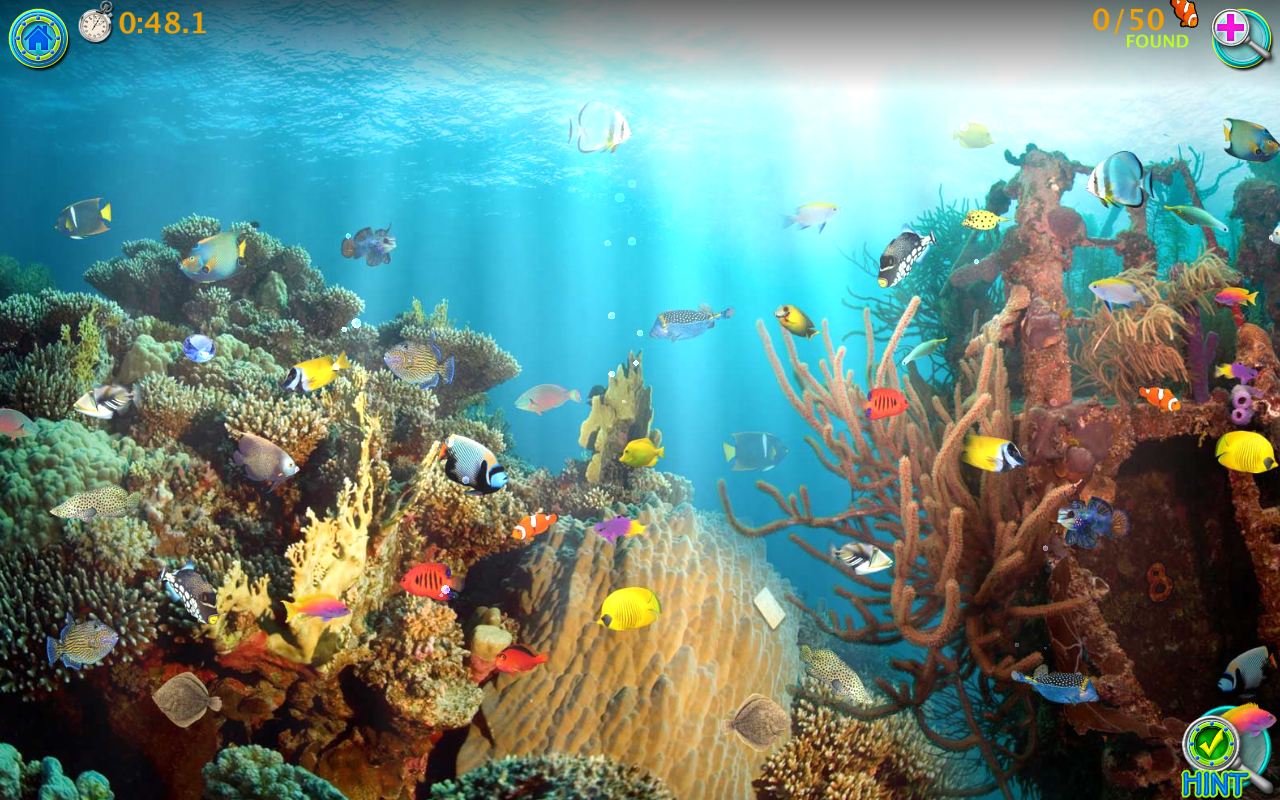 Hidden Objects Quest 2: Tropical Escape - App on Amazon Appstore