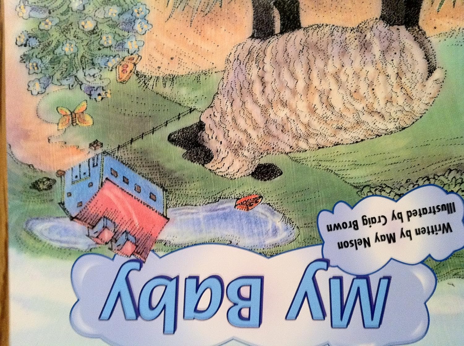 My baby (Storyteller): Written by May Nelson, Illustrated by Craig ...