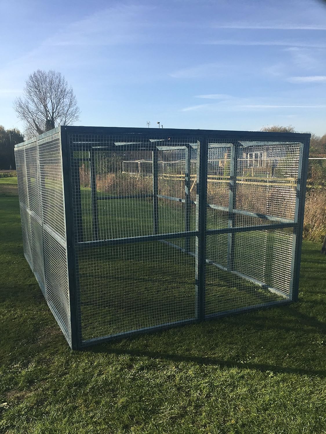 4wire Large Walk In Animal Run Blue 12FT x 8FT Dog Cat Rabbit Chicken ...