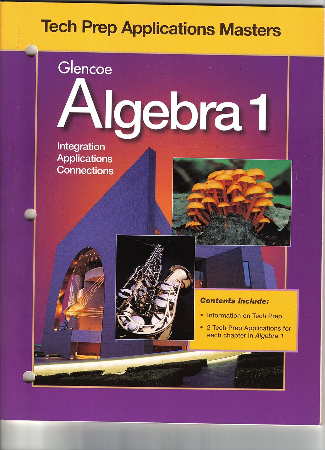 Glencoe Algebra 1: Integration, Applications, Connections - Tech Prep ...