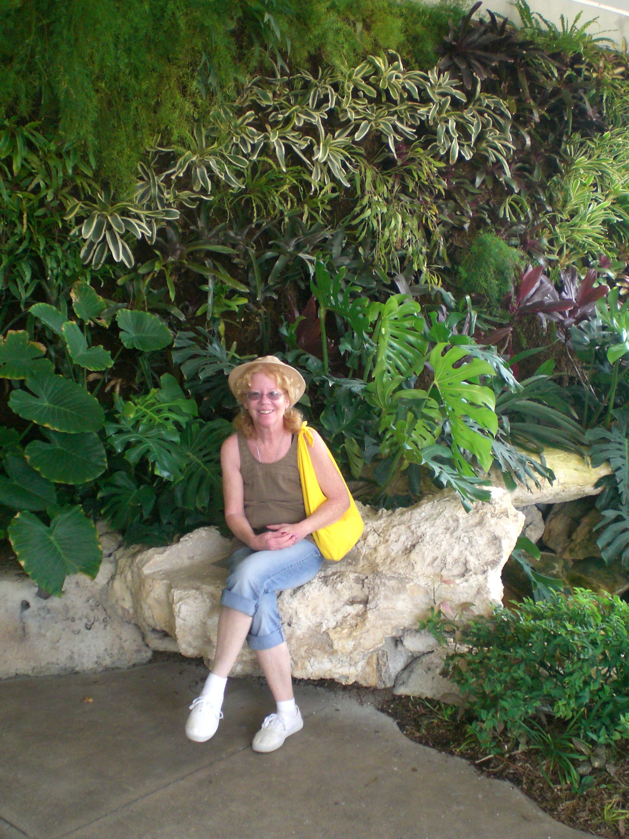 Amazon.co.uk: Patricia Sampson Harkness: books, biography, latest update