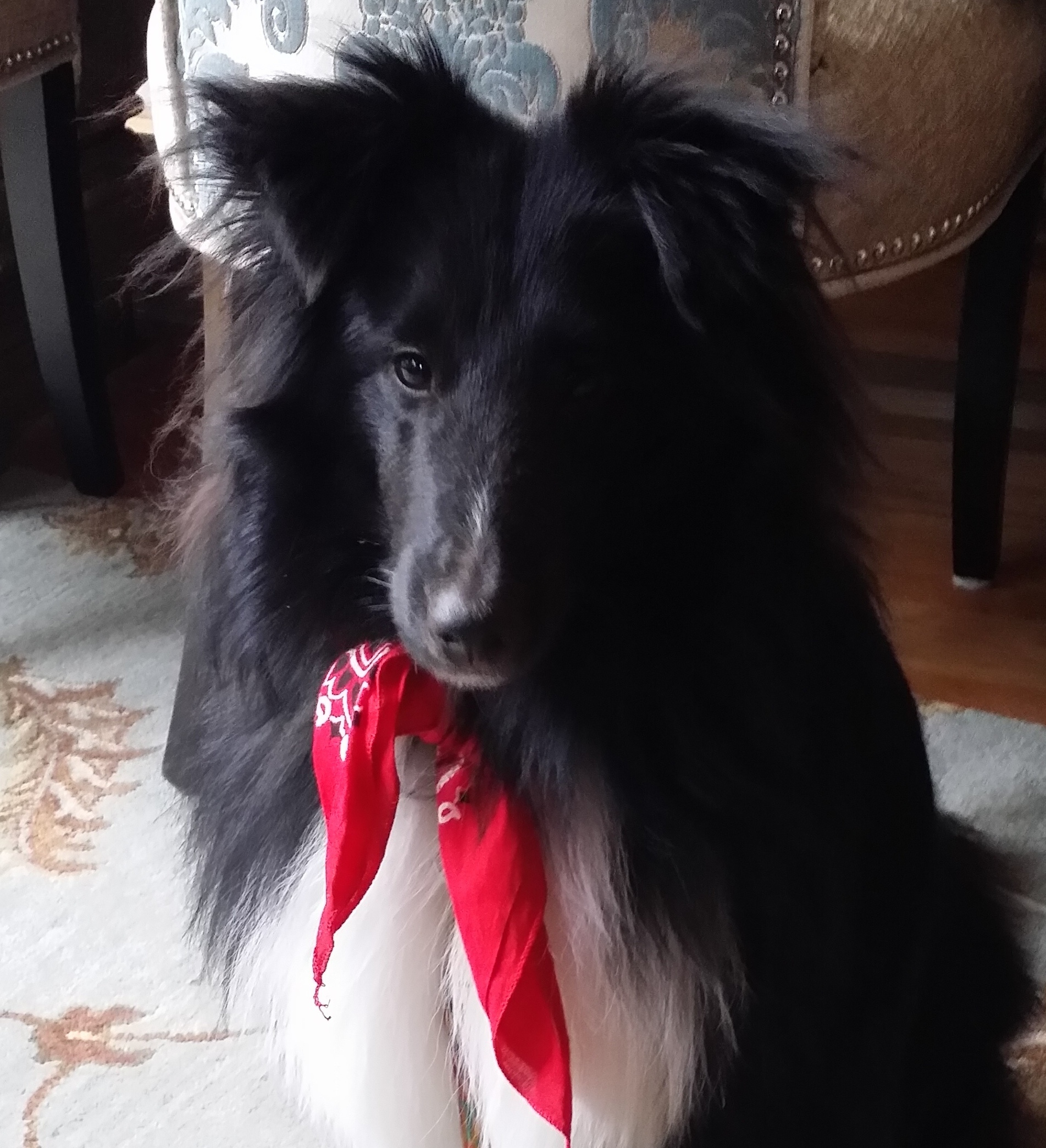 Amazon.com: Jesse Russell: books, biography, latest update