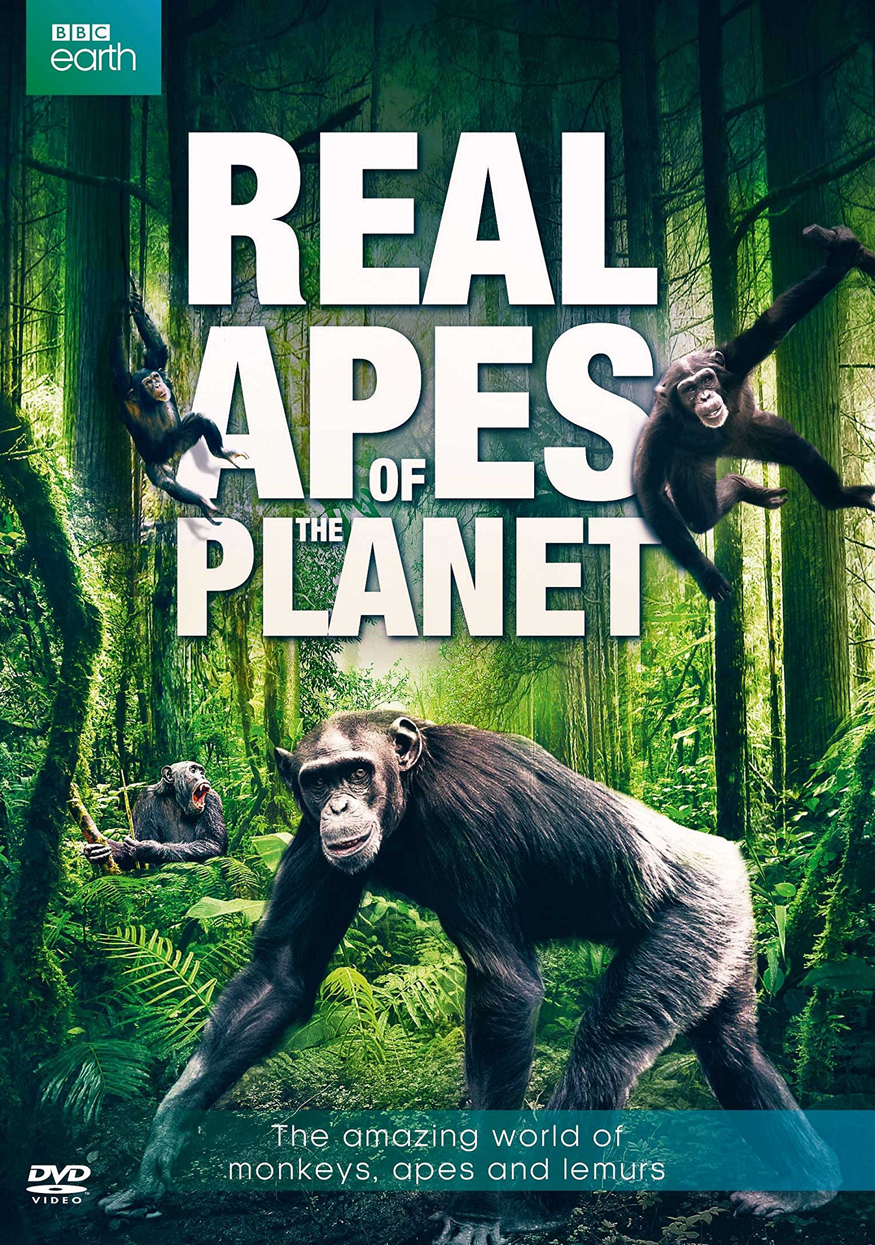 Amazon.com: Real Apes of the Planet (DVD) : Various, Various: Movies & TV