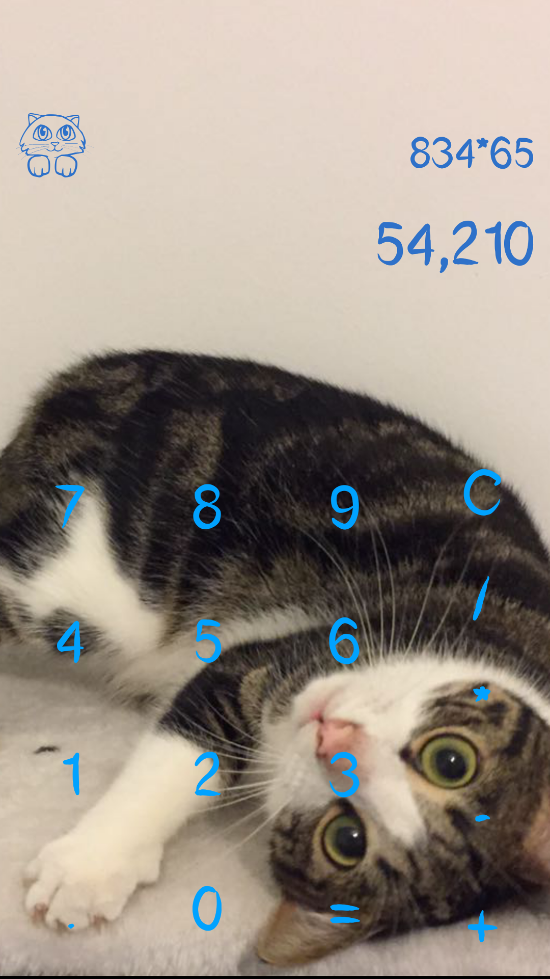 Cat Calculator - App on the Amazon Appstore