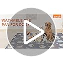 Amazon.com: LOOBANI Washable Pee Pads for Dogs, 2 Pack Ultra-Absorbent and Leak-Proof Whelping ...
