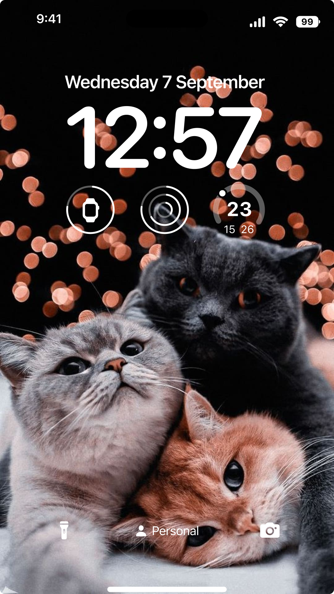 Cat Wallpaper - App on Amazon Appstore