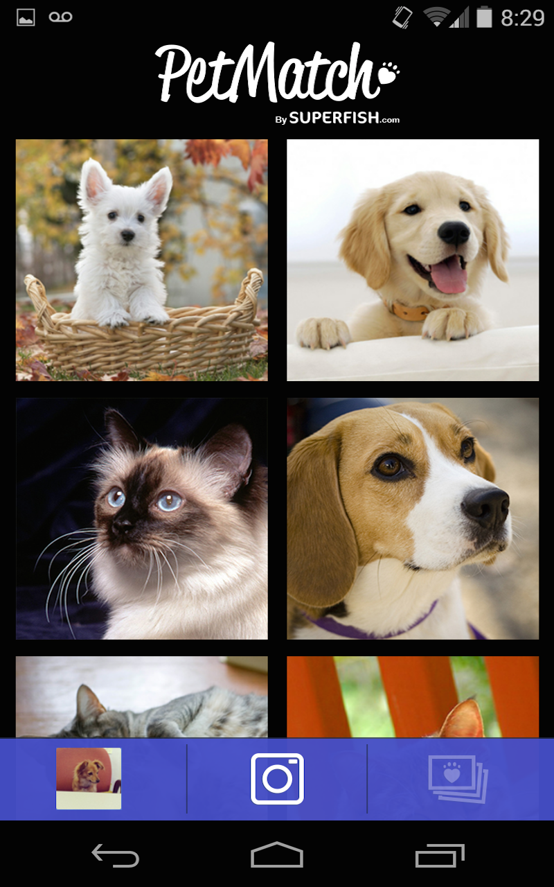 PetMatch: Adopt a Pet Near You - App on the Amazon Appstore