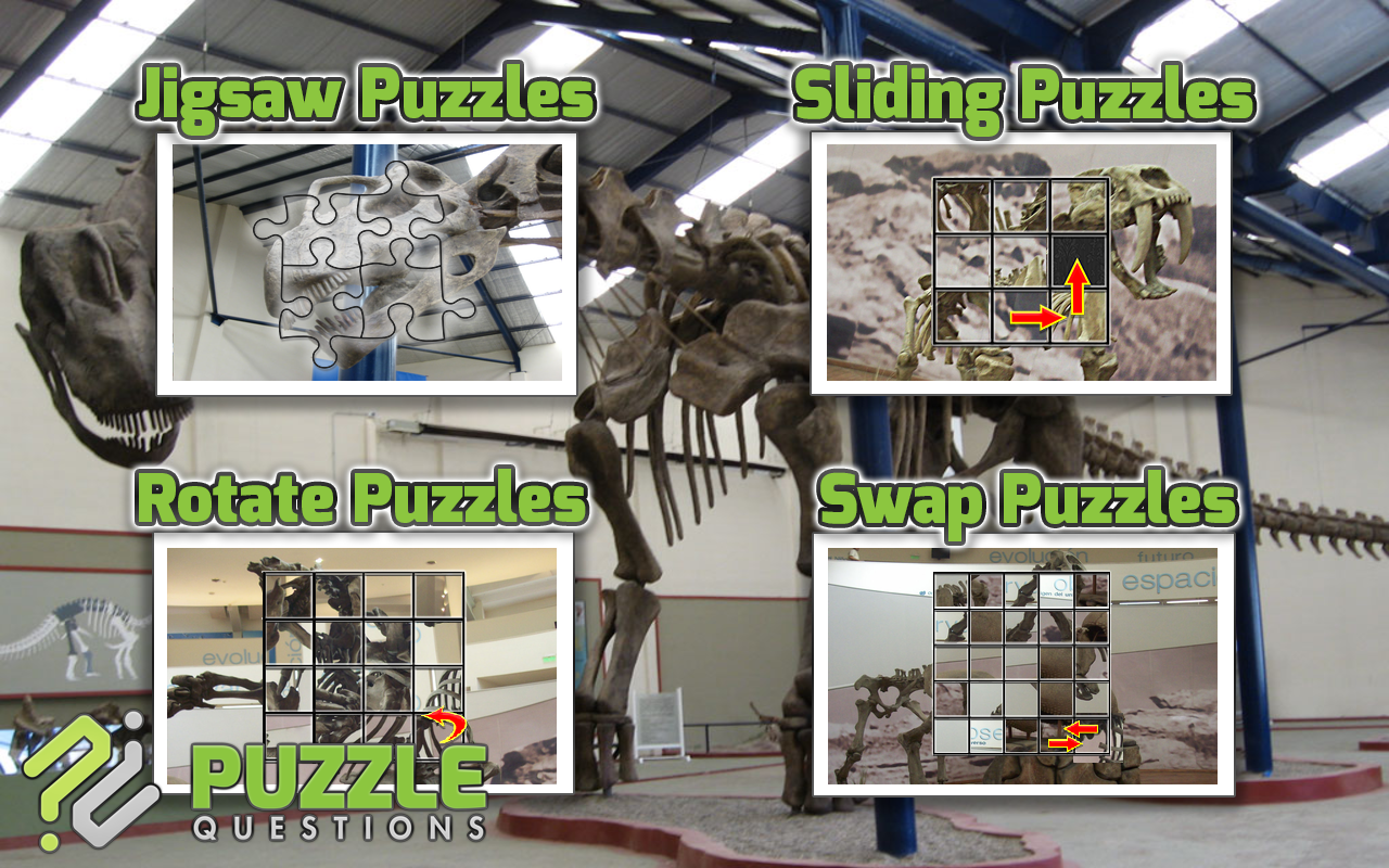Free Dinosaur Jigsaw Puzzle Games: Fossil - App on the Amazon Appstore