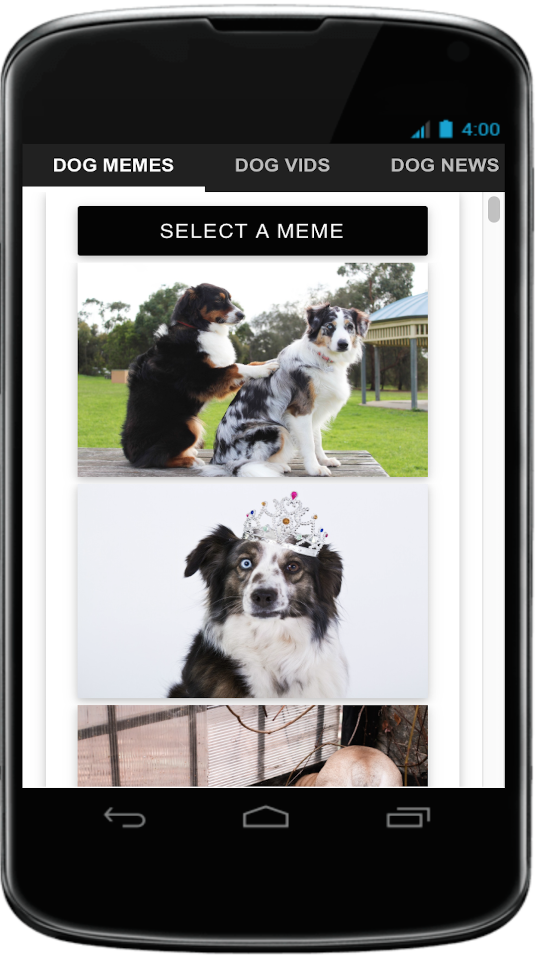 Puppy Meme Generator Create Hilarious Shocked Emoji Memes Instantly