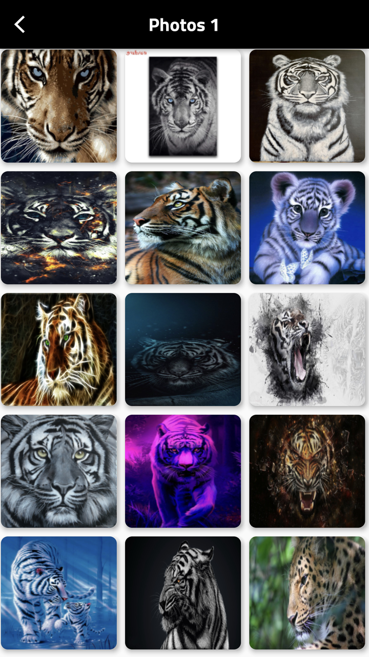 Tiger Wallpapers HD - App on Amazon Appstore