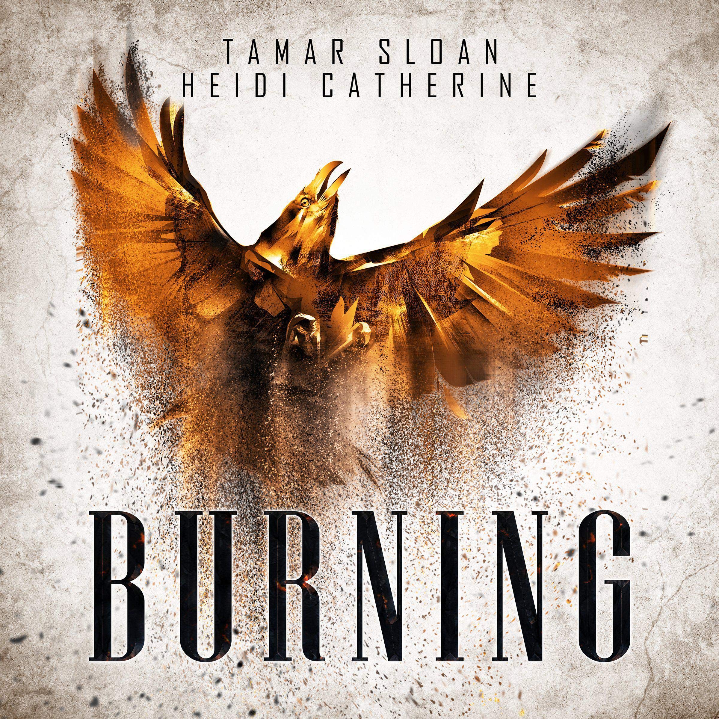 Publication: Burning