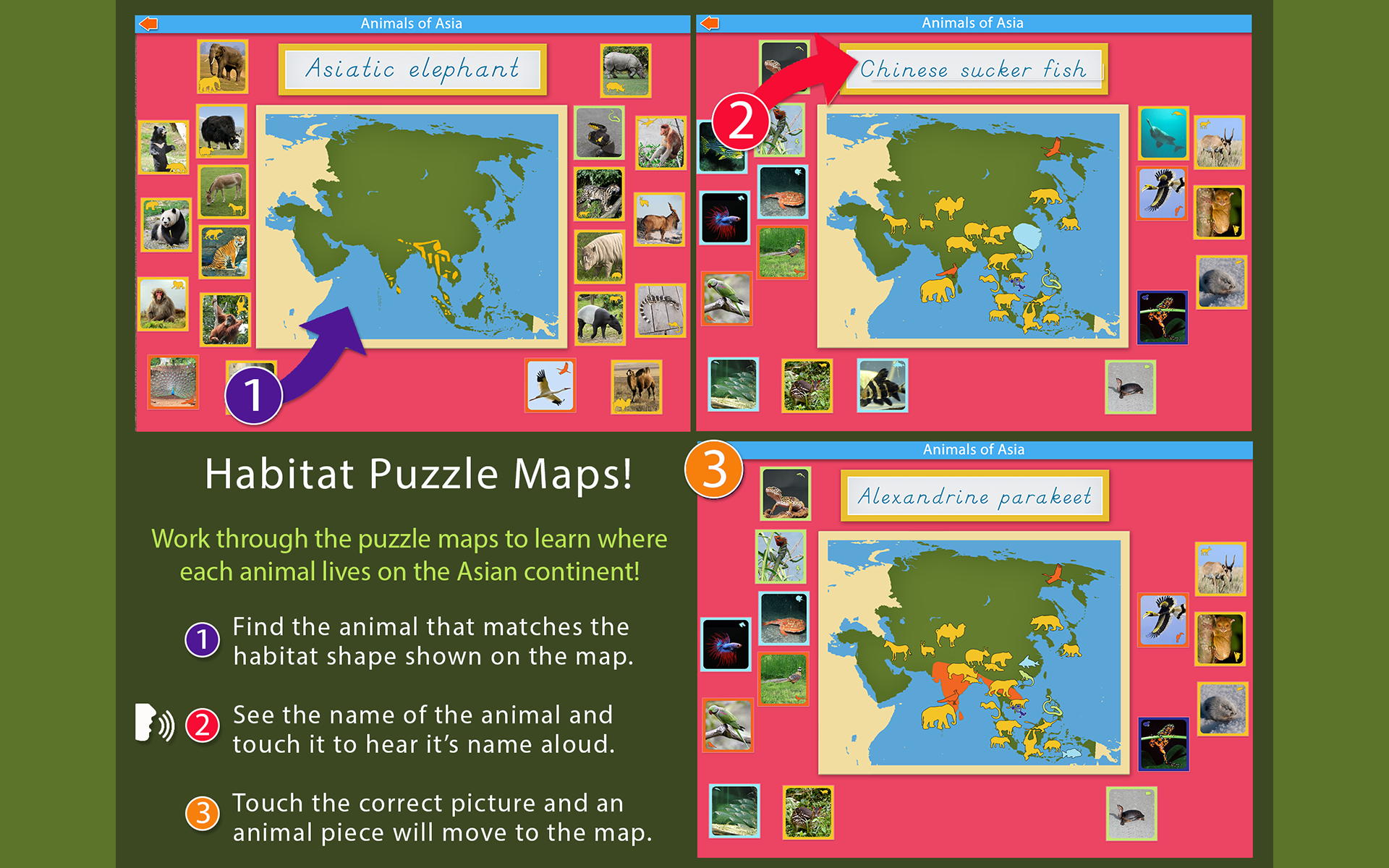 Montessori Geography - Animals of Asia - App on Amazon Appstore