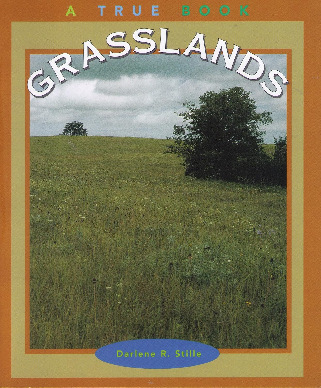 Grasslands (True Books-Ecosystems): Stille, Darlene R.: 9780516267623 ...