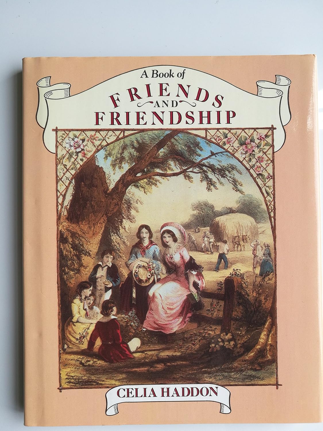 A Book of Friends and Friendship: Haddon, Celia: 9780718128777: Amazon ...