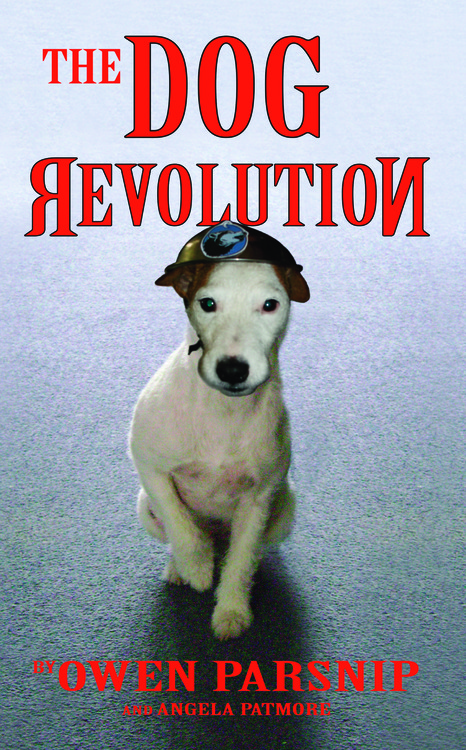 Amazon.com: Angela Patmore: books, biography, latest update