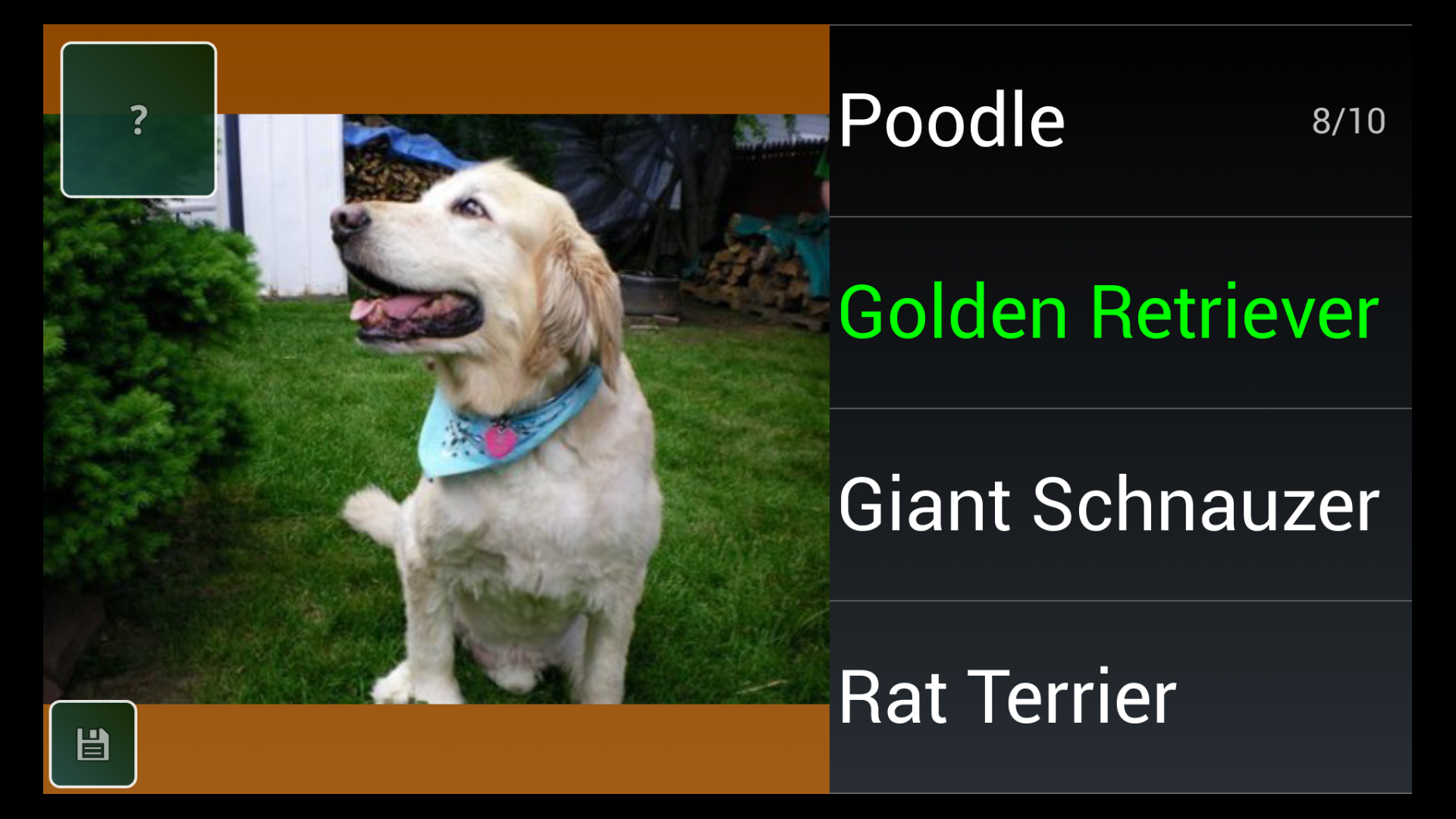 Name That Dog Breed - App on Amazon Appstore