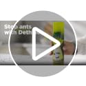 1 x Dethlac Spray | Ant Killer Indoor & Outdoor 250ml Aerosol | Insect ...