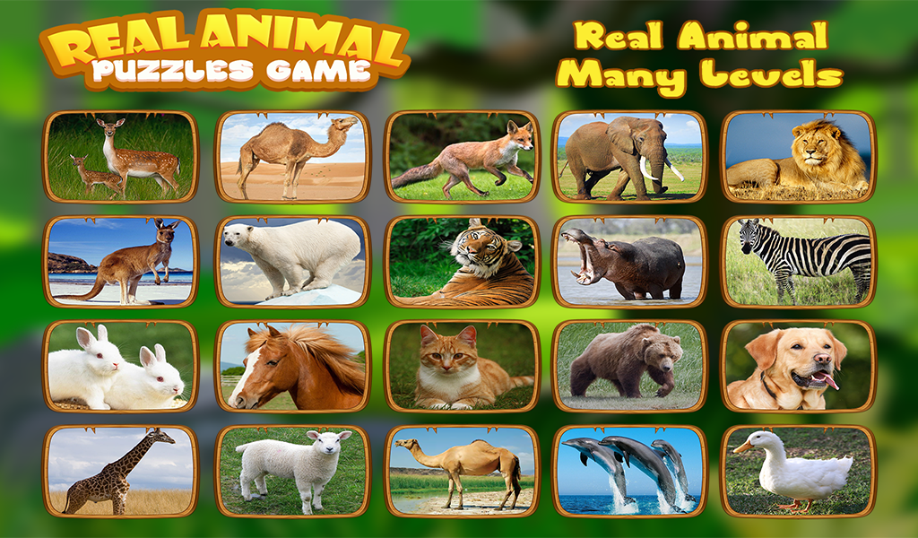 Real Animal Puzzles Game - App on Amazon Appstore