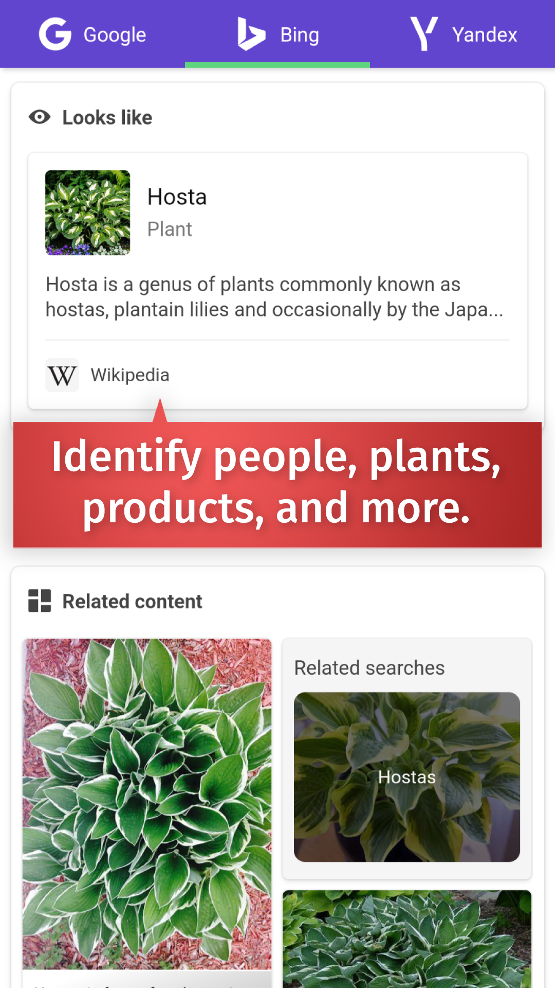 Reverse Image Search - App on Amazon Appstore