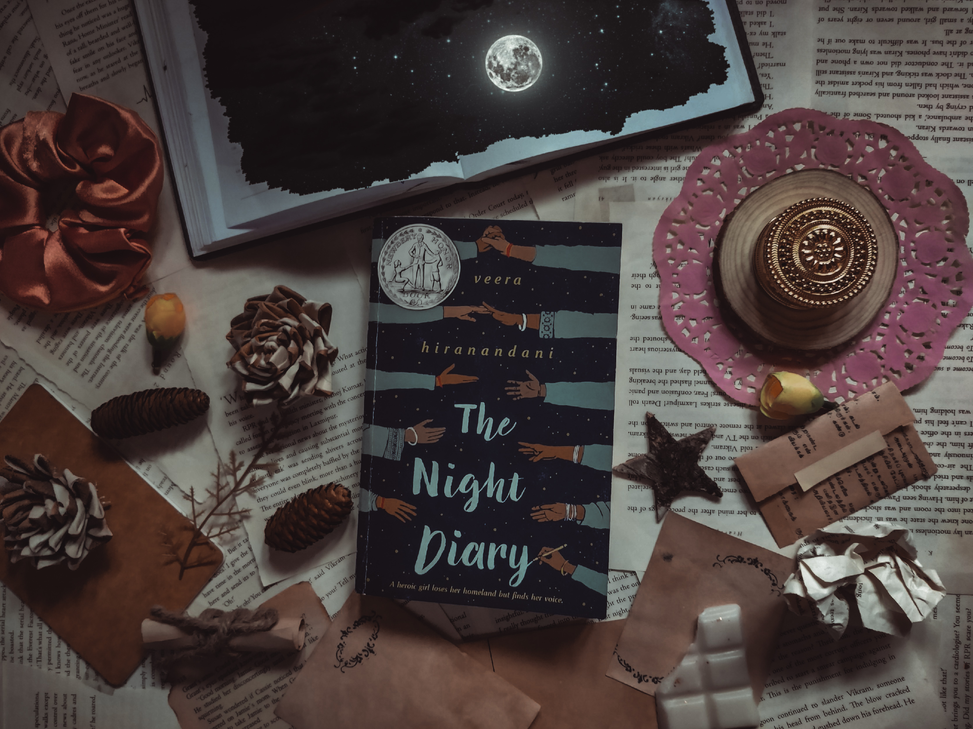The Night Diary : Veera Hiranandani: Amazon.in: Books