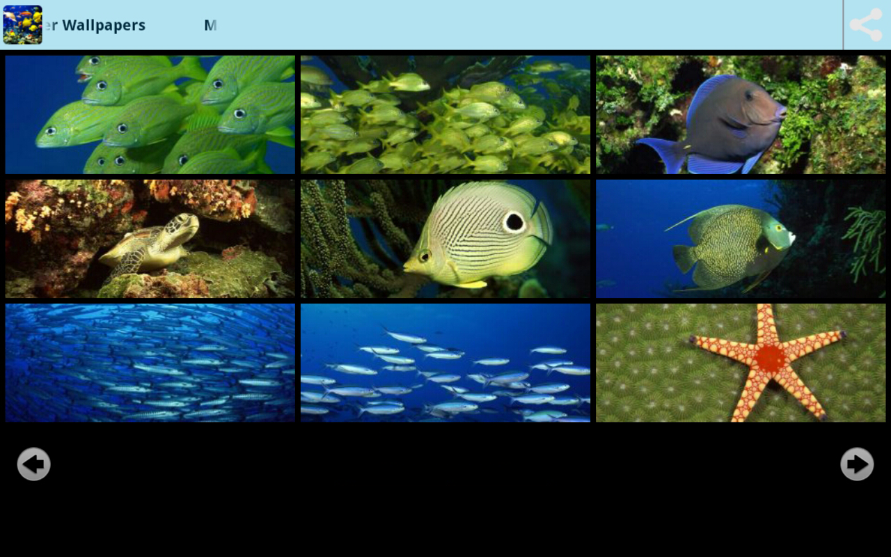 Magical Underwater Wallpapers - App on Amazon Appstore