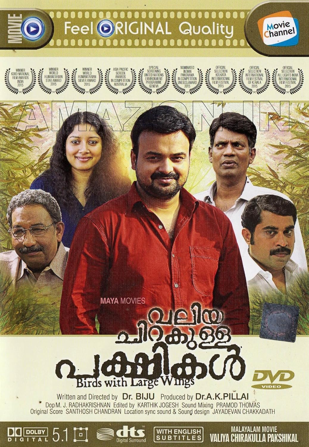 Valiya Chirakulla Pakshikal: Amazon.in: Bijukumar Damodaran, Kunchacko Boban, Salim Kumar ...