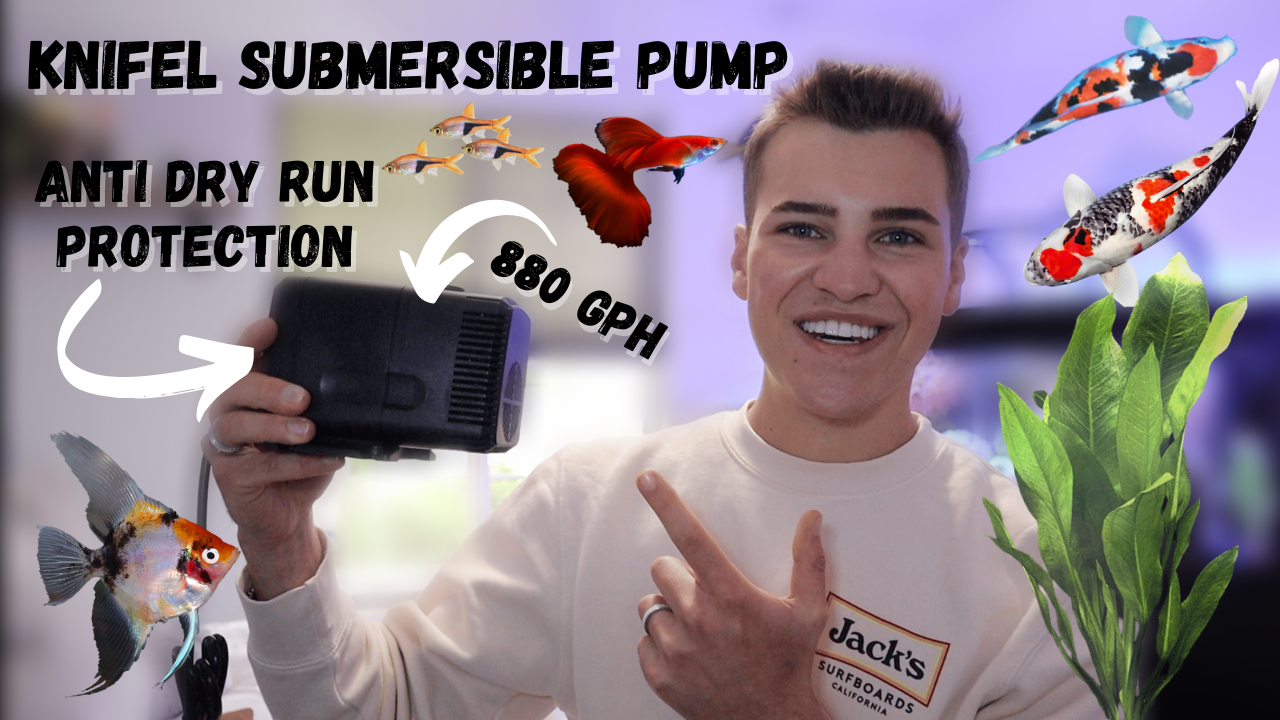 Watch KNIFEL Submersible Pump *BUILT-IN DRY RUN PROTECTION* on Amazon Live