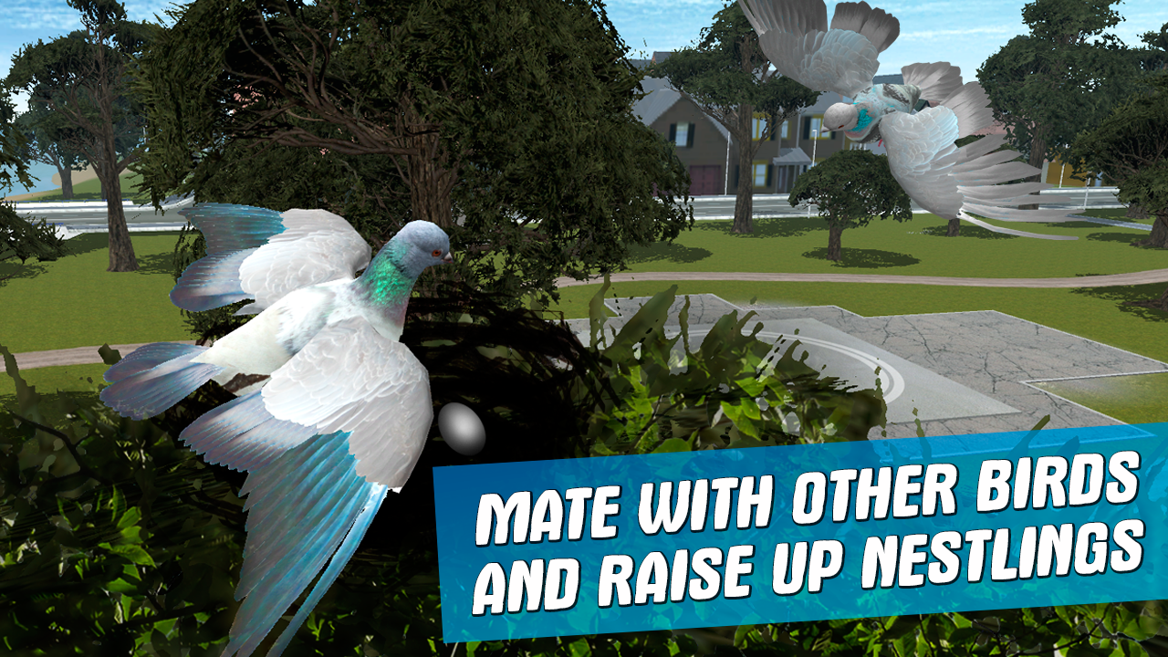 City Bird Pigeon Simulator 3D - Application sur Amazon Appstore