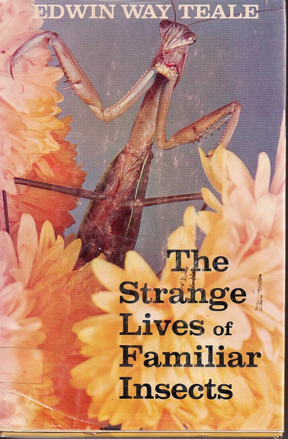 The strange lives of familiar insects: Teale, Edwin Way: Amazon.com: Books