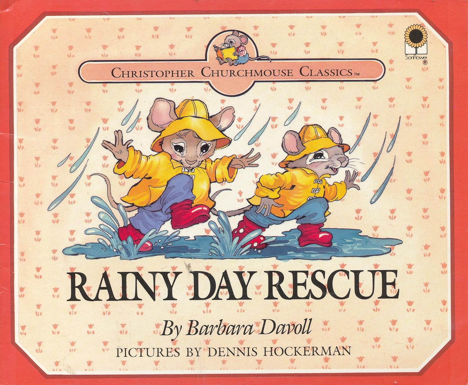 Rainy Day Rescue: Davoll, Barbara: 9780781430234: Amazon.com: Books