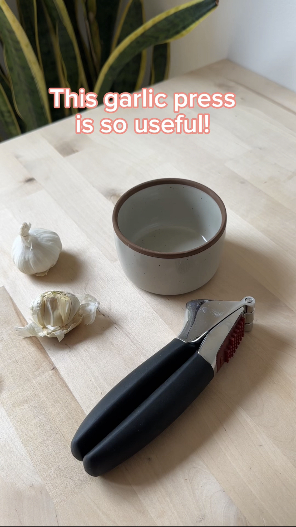 Watch Oxo Garlic Press on Amazon Live